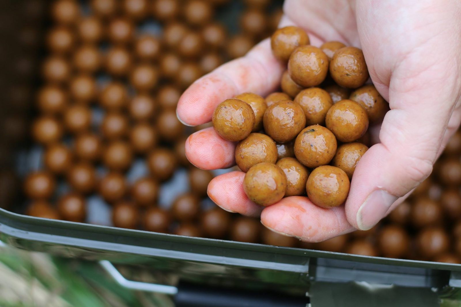 The Switch Freezer Bait 5KG - DNA Baits DNA Baits