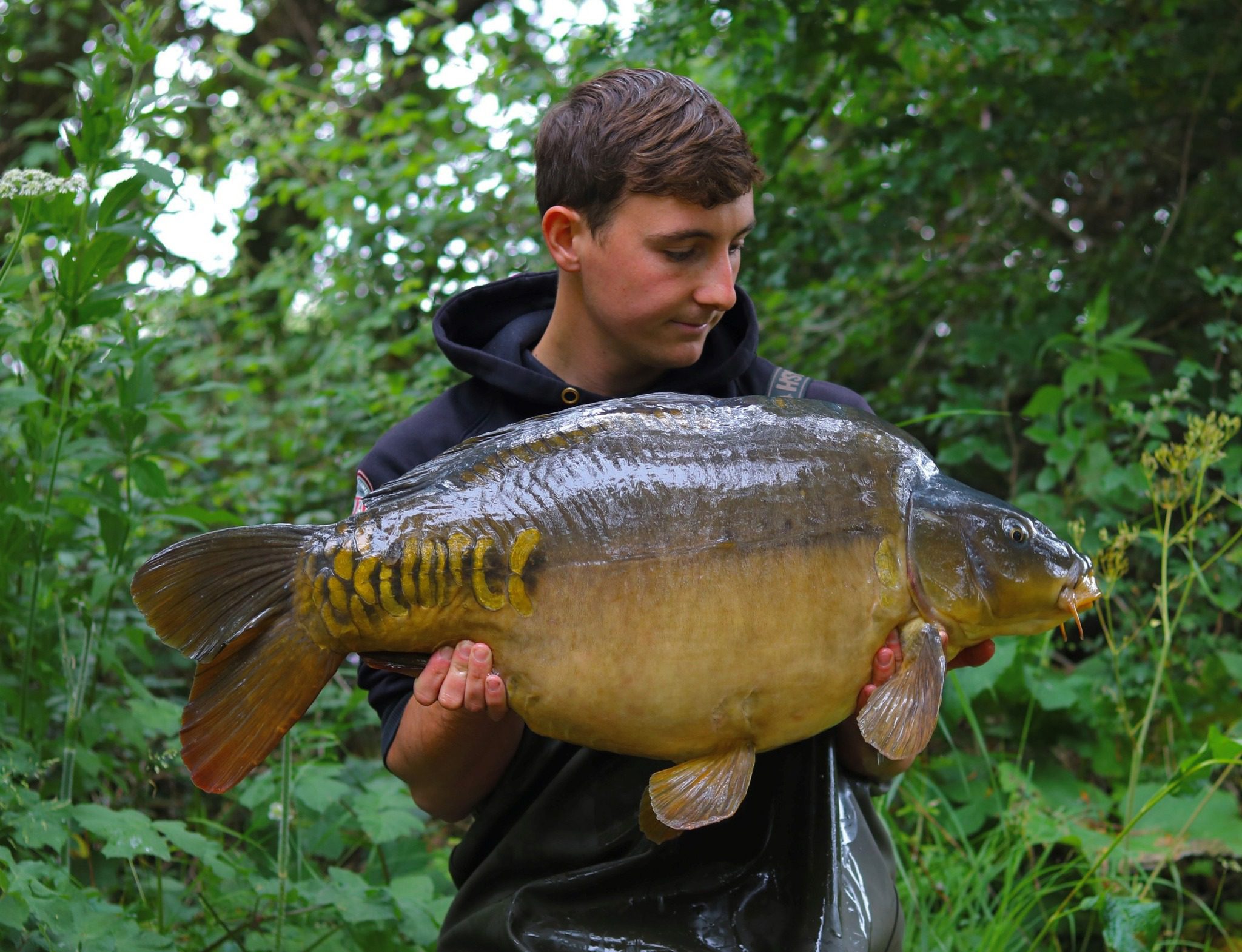 MASS BAITING PAYS OFF HANDSOMELY - DNA Baits DNA Baits