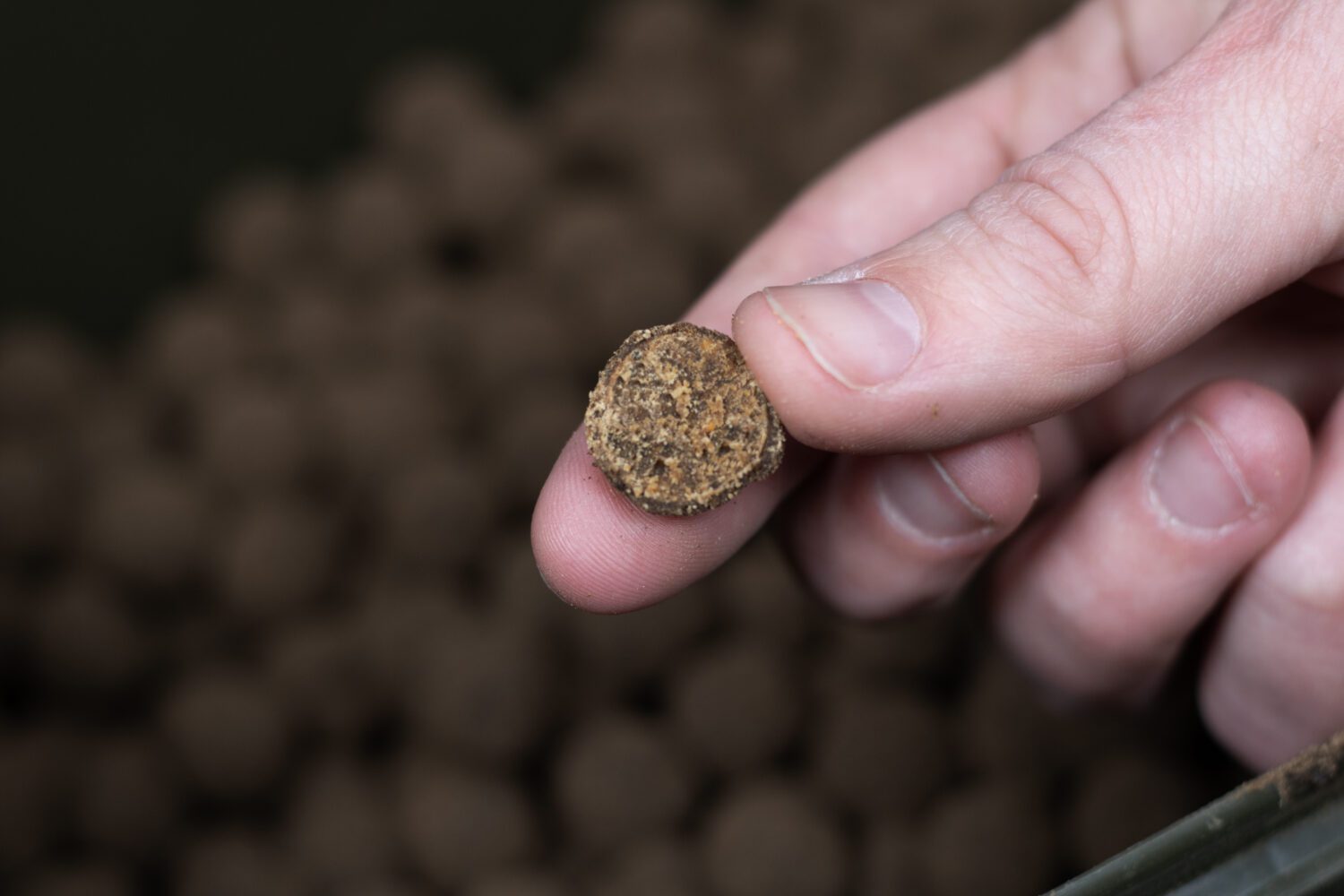 Insect Meal - DNA Baits DNA Baits