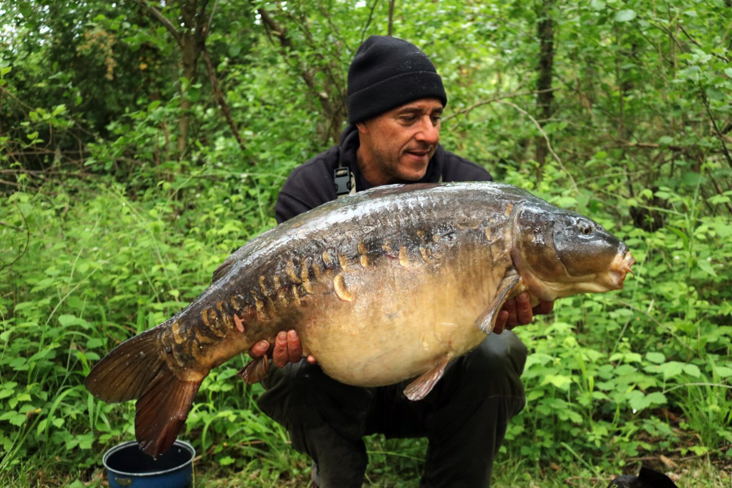 THE BUG BUZZ IS REAL! - DNA Baits DNA Baits