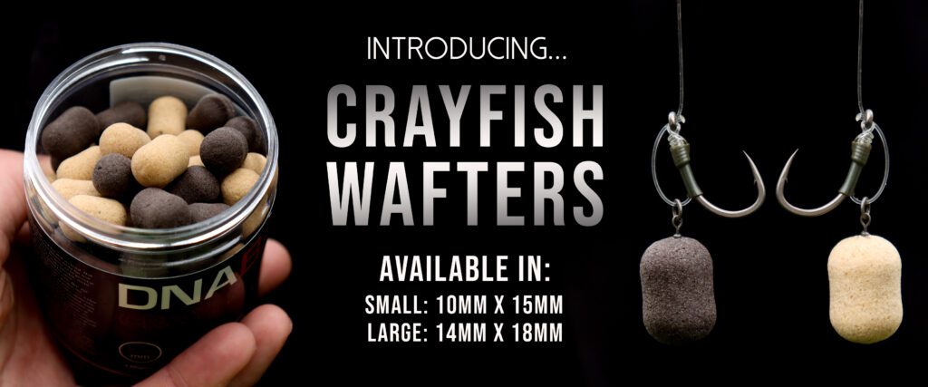 DNA Baits - UK's Biggest Online Carp Bait Retailer | Bait & Boilie ...